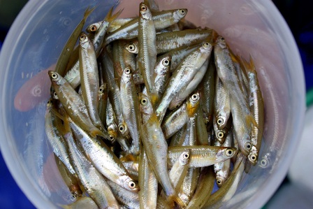 28 scrumptious Ugandan foods that you must eat! – one.african.girl