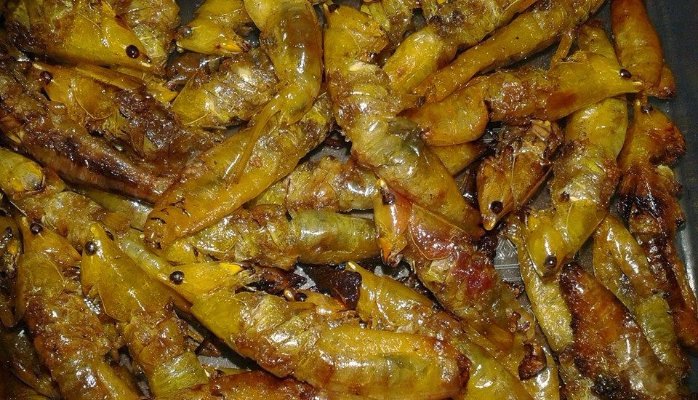 28 scrumptious Ugandan foods that you must eat! – one.african.girl